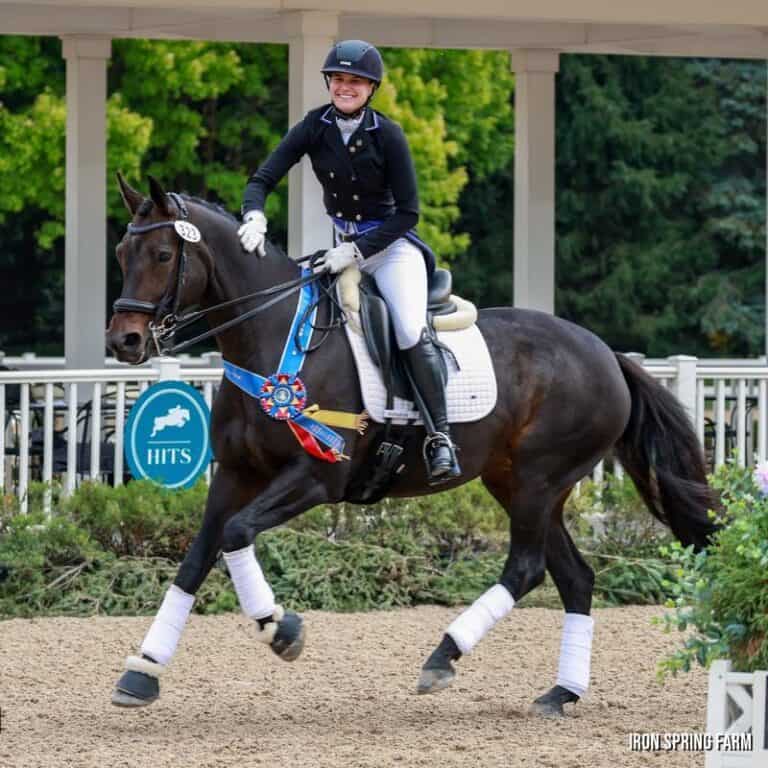 Tracking Your Mare's Heat Cycle | Iron Spring Farm
