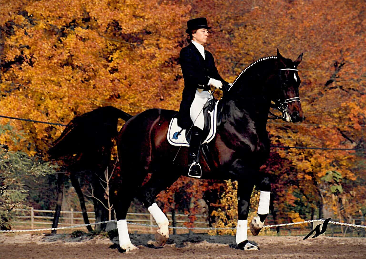 In Memoriam: Mary Alice Malone (1950 - 2025) | Iron Spring Farm