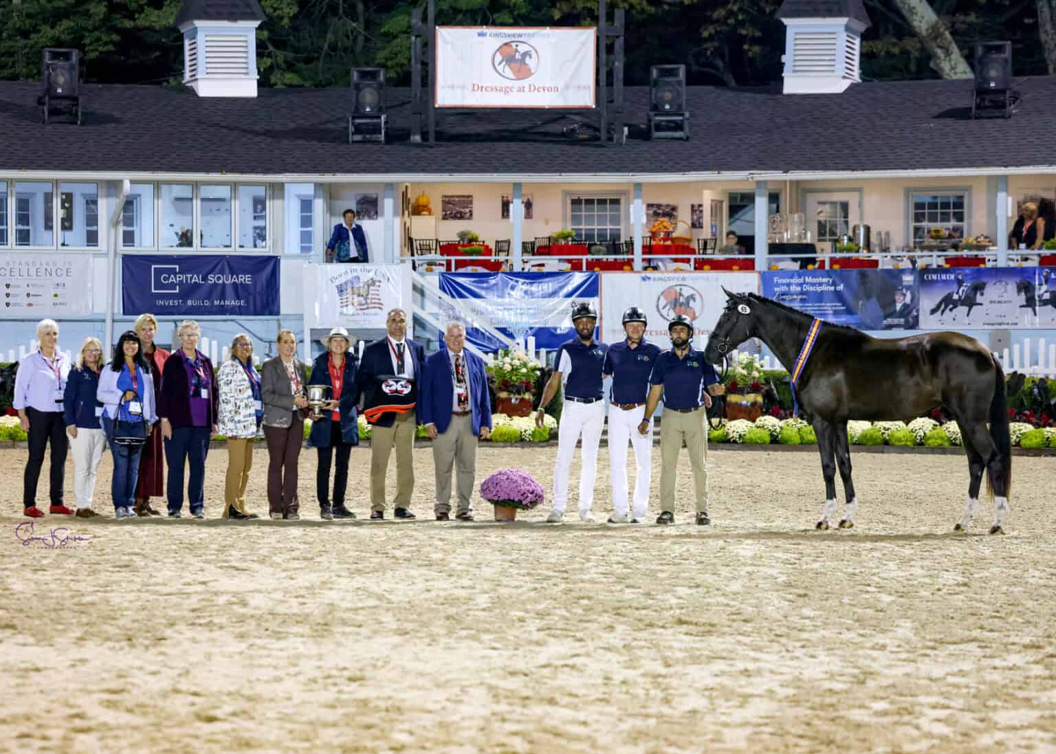 ISF-sired 2025 Dressage at Devon Breed Division Results | Iron Spring Farm